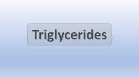 Reasons for High Triglycerides | Medication Management LLC
